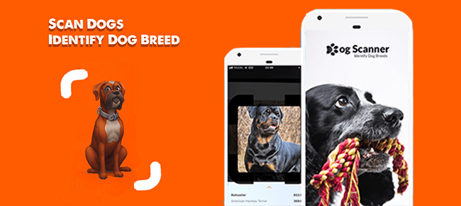 Dog Scanner – Identify Dogs Breeds – Sell My App